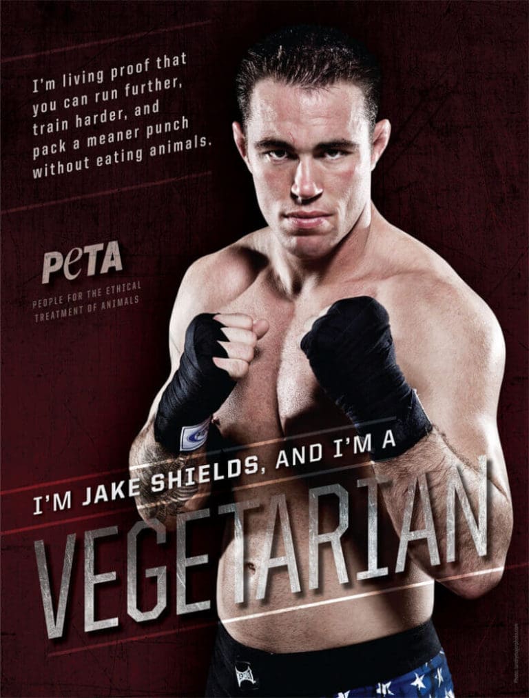 Mixed Martial Arts Vegan Rockstars - the kind life