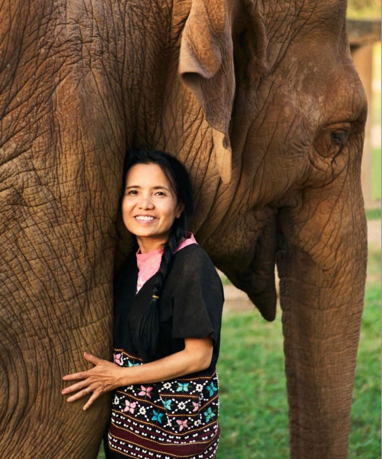 Saengduean 'Lek' Chailert, Thailand's Elephant Warrior - the kind life